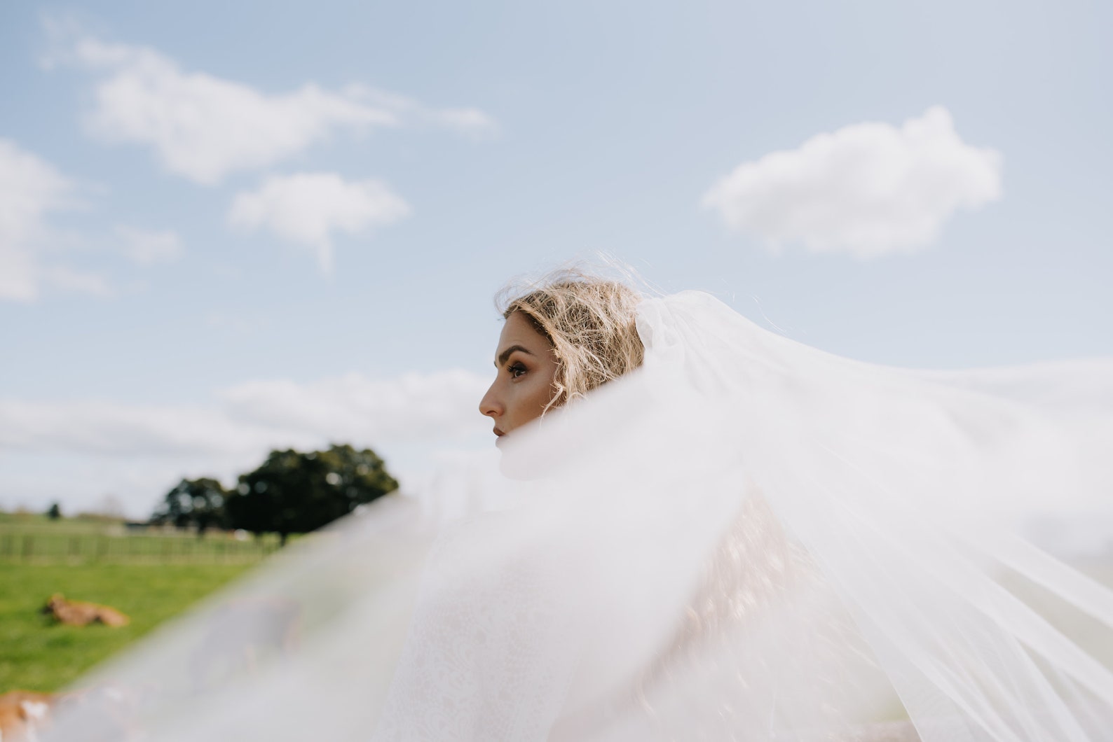 Ivory Veil Veil 3m Veil Tulle Veil Beach Veil Modern - Etsy