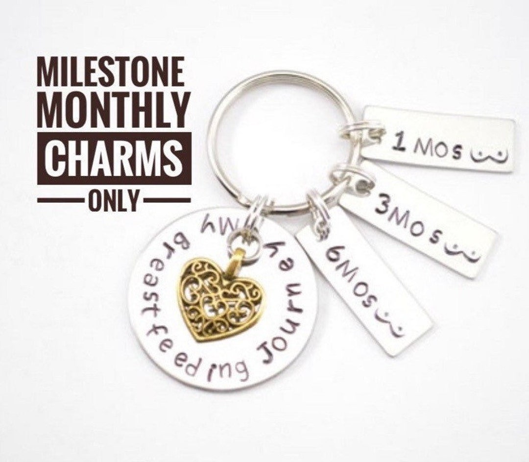Hand Stamped My Breastfeeding Journey MONTHLY Milestone Charms ONLY - Etsy