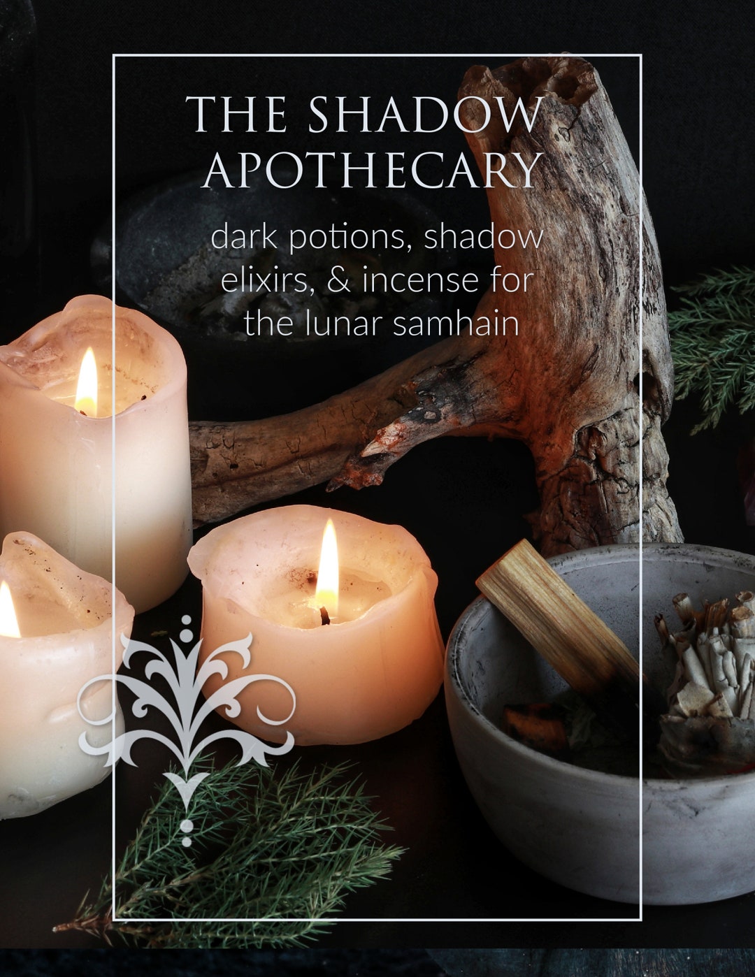 The Shadow Apothecary; Dark Potions, Elixirs & Incense for the Lunar ...