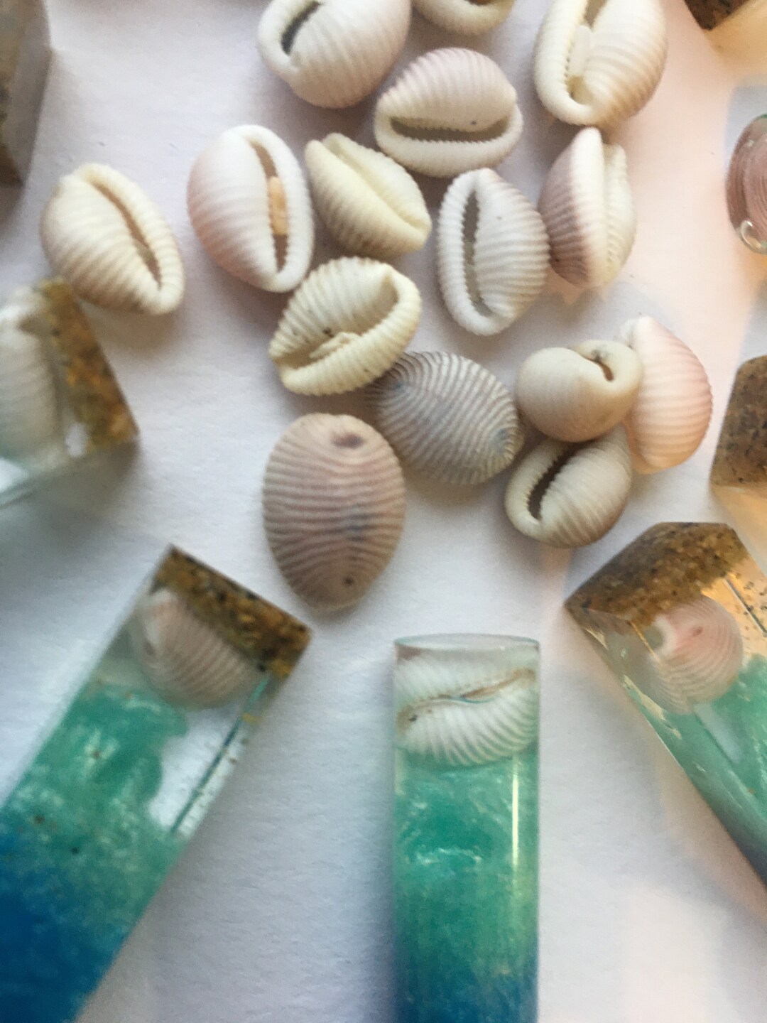 The Groatie Buckie Shell Keyring. Choose Clip or Keyring. From the ...