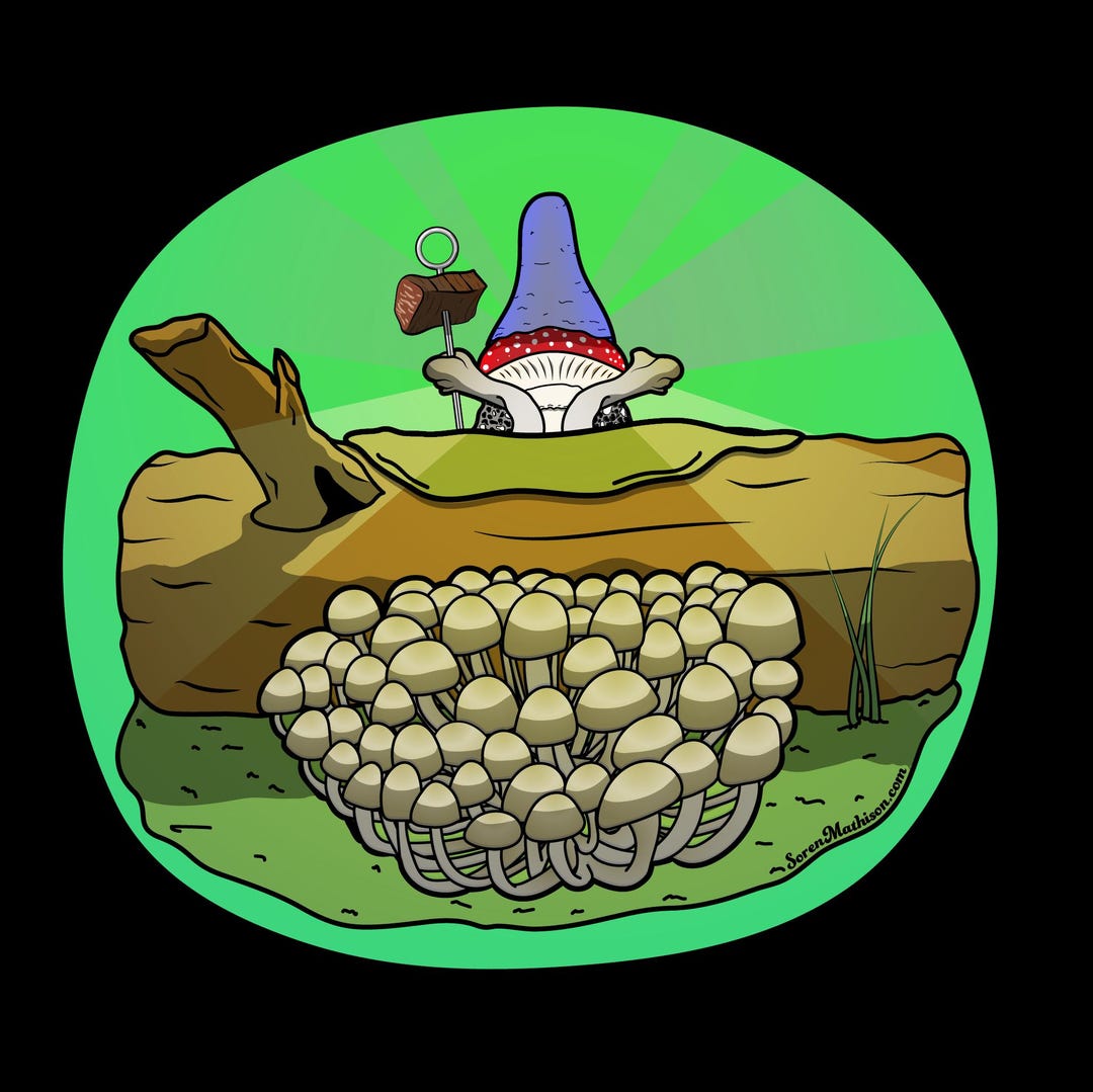 Mushroom Pope, His Holy Mycelium - Digital Print - Etsy