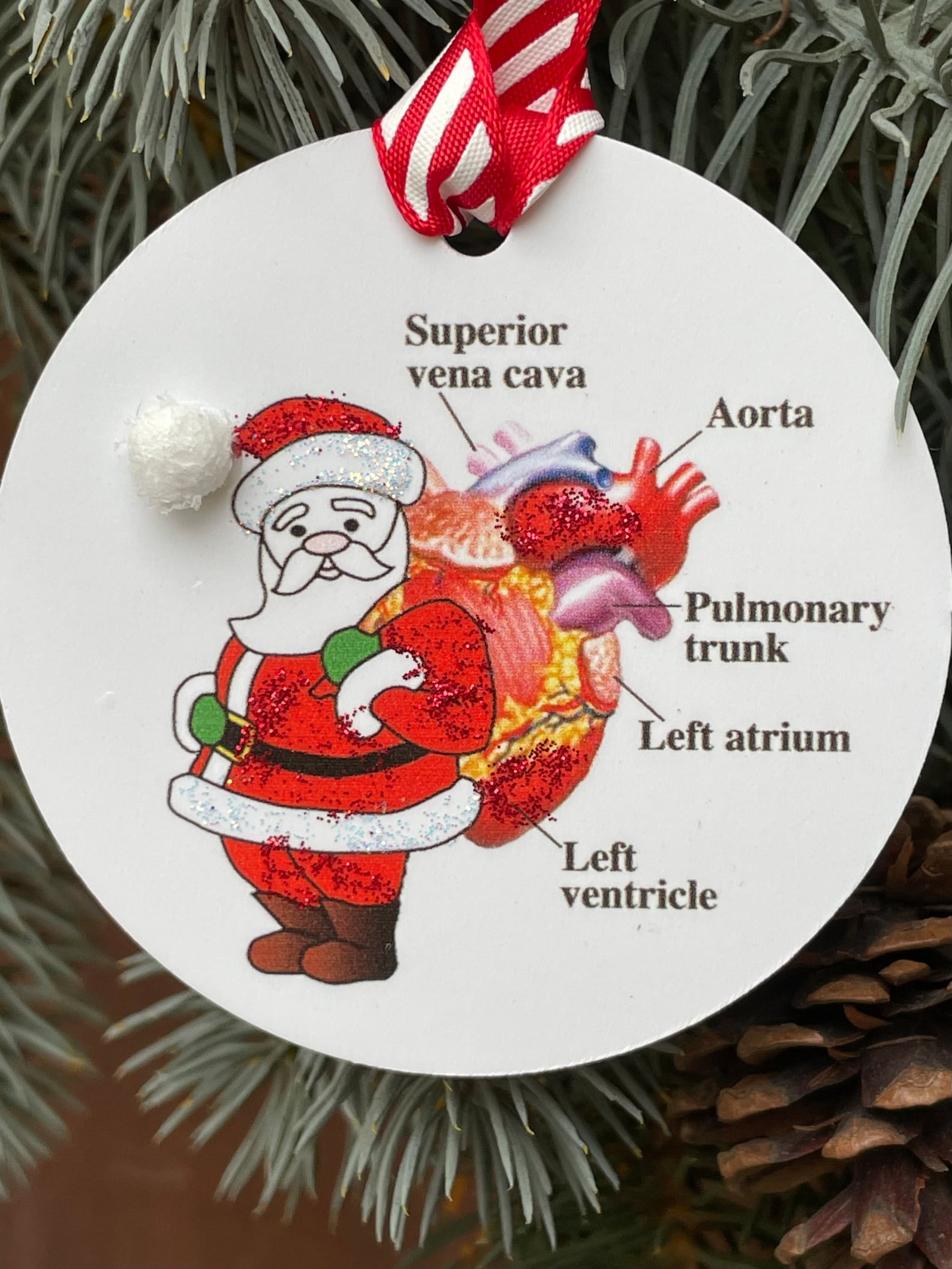 Dr/nurse/cardiologist-holiday Medical Ornament-cardiac - Etsy