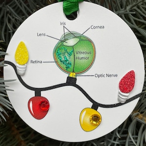 EYE Ophthalmologist/ Eye Care Doctor Ornament/optometrist Holiday ...