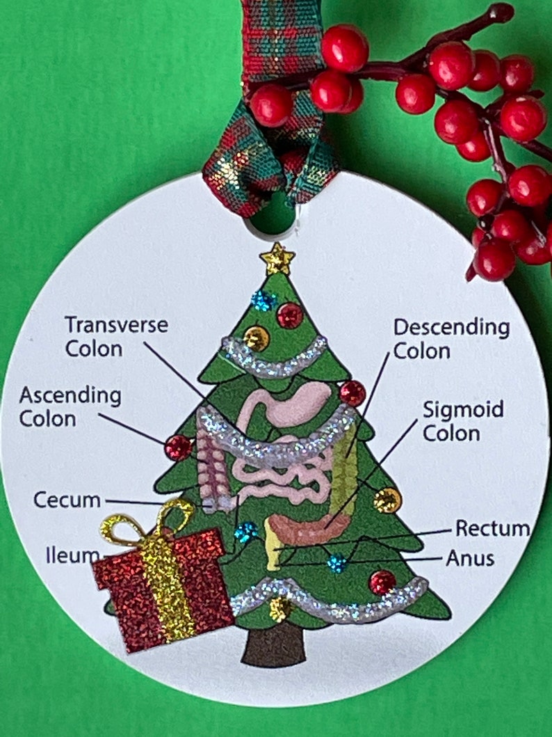 Anatomical Colon Christmas Tree Ornament, Gastroenterologist Gift - Etsy