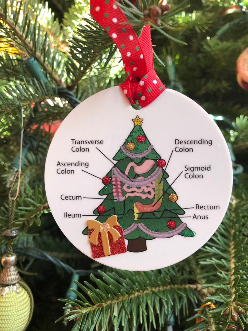 Anatomical Colon Christmas Tree Ornament, Gastroenterologist Gift - Etsy