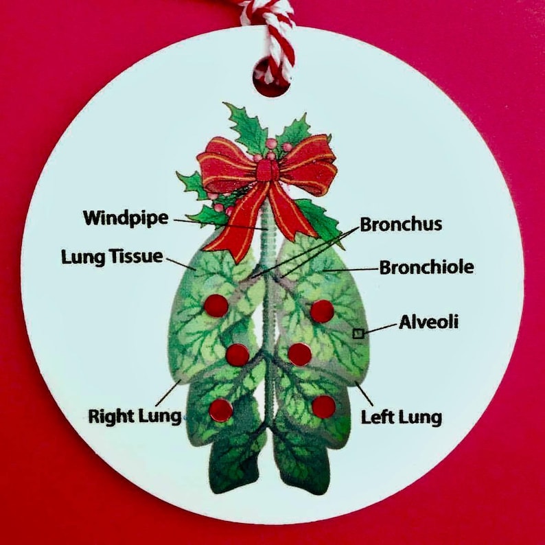 Dr/Nurse/Cardiologist-Holiday Medical Ornament-cardiac | Etsy