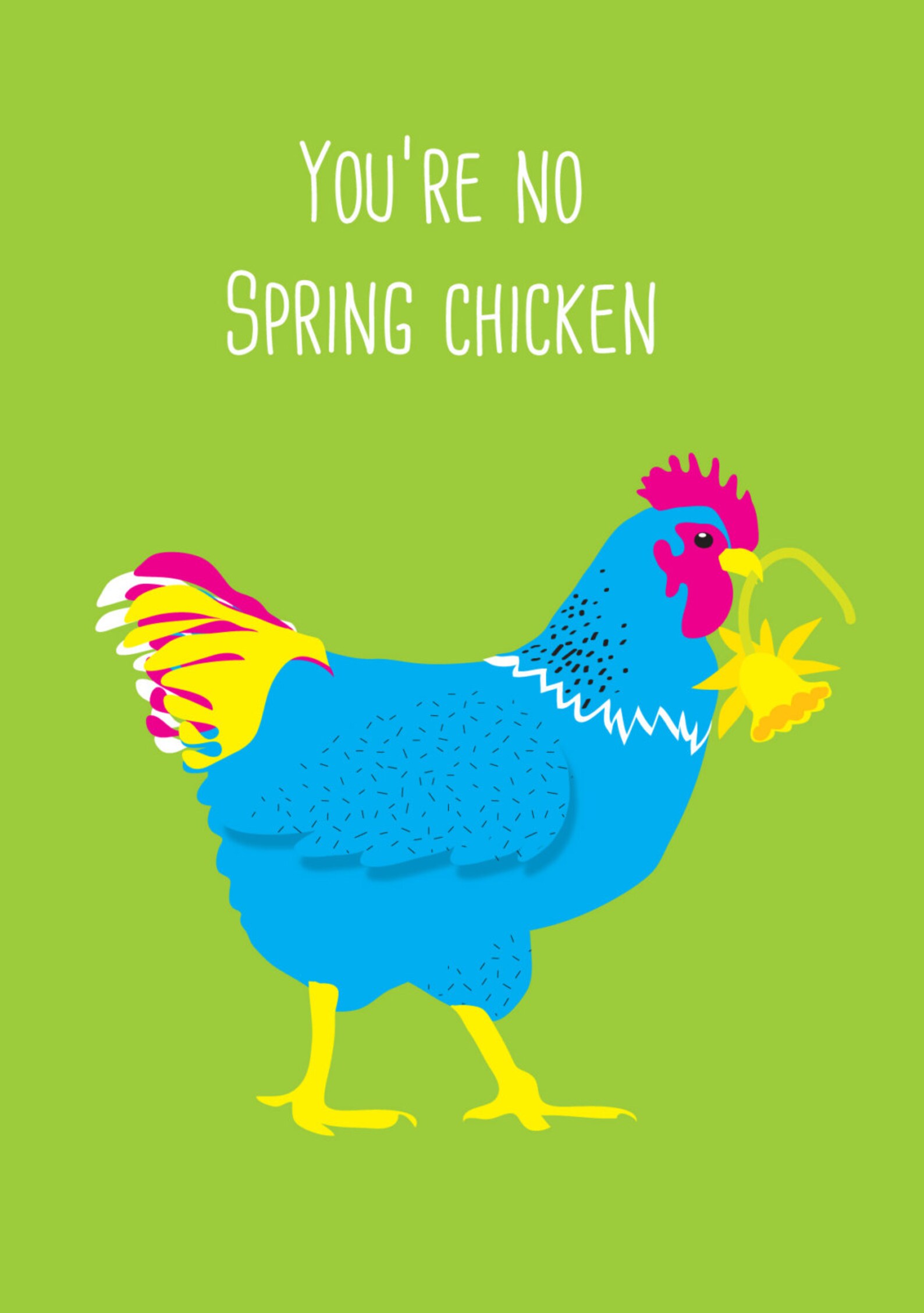Chicken Birthday Greeting Card Blank Inside 'you're No Spring Chicken ...