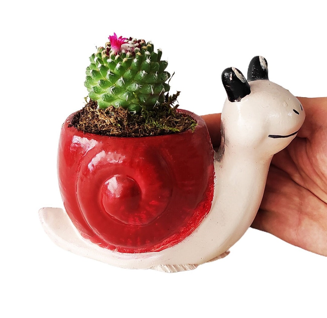 Silicone Mold Pot Snail 14cm for Plaster Soap Clay Polyester - Etsy