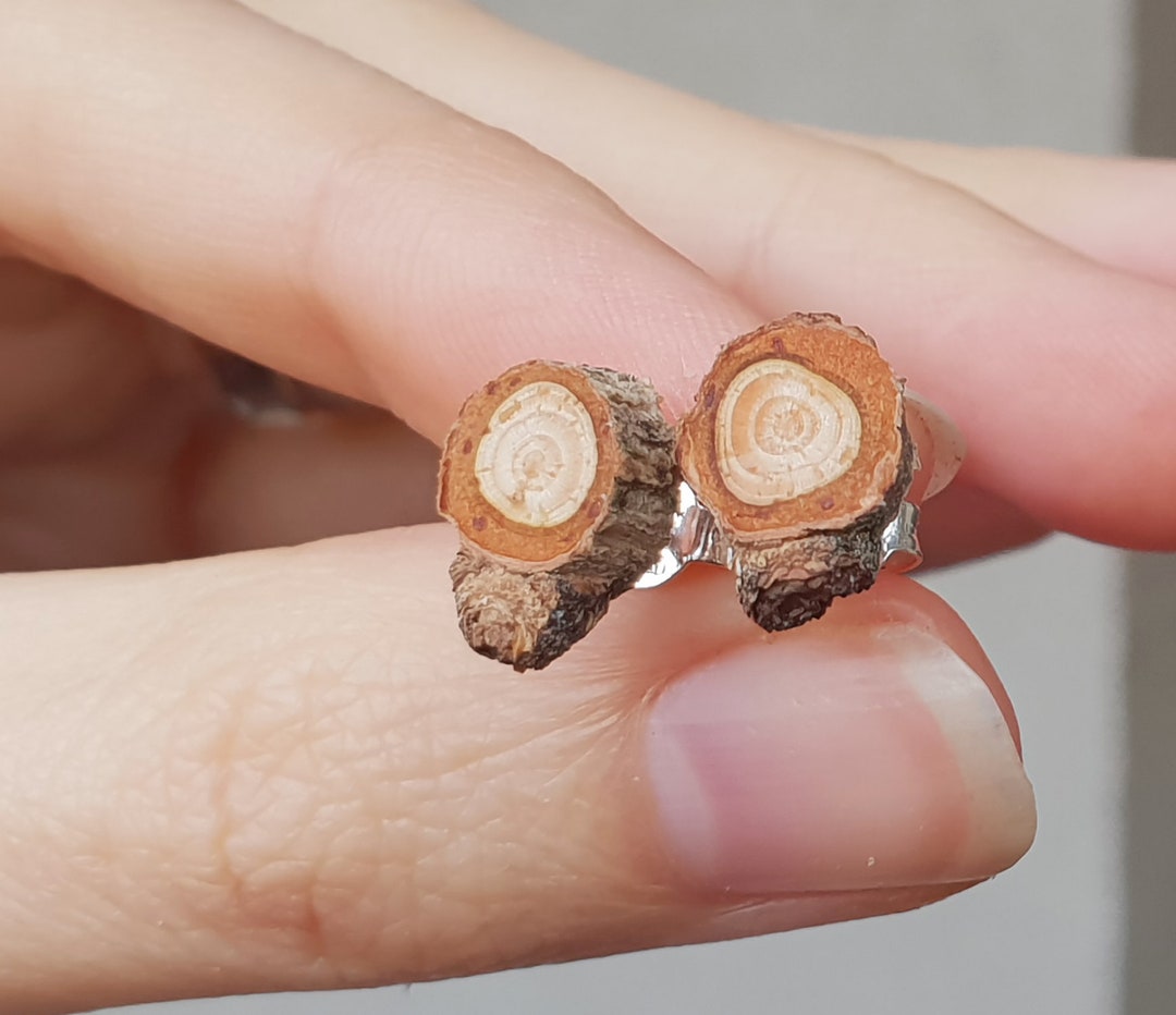 Wooden Stud Earrings, Wood Sterling Silver/stainless Steel Tiny Studs ...