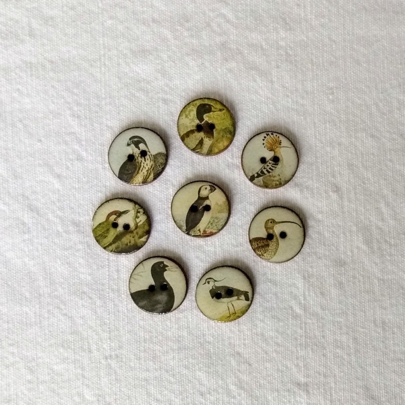 Bird Sewing Buttons - Etsy