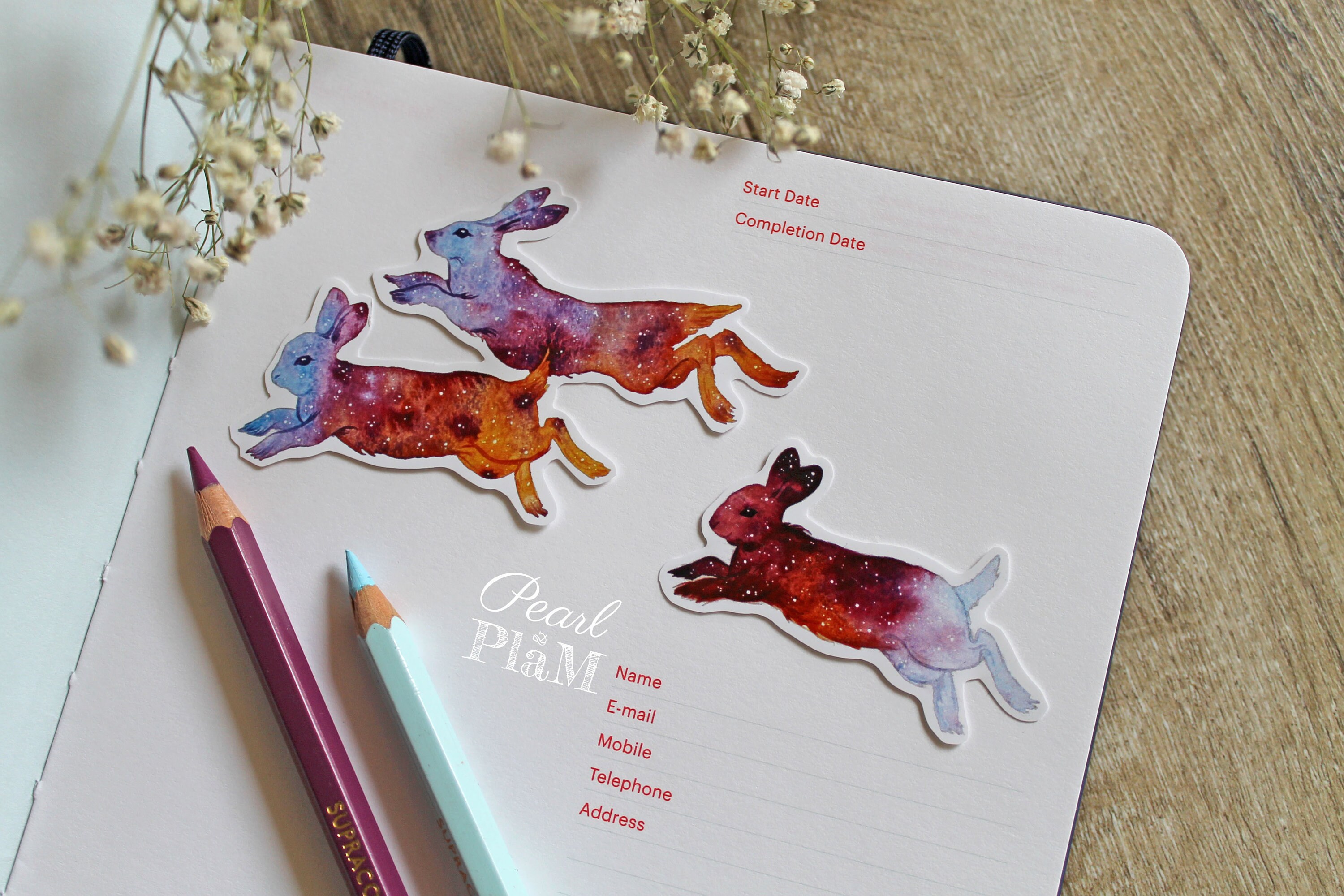 Fantasy Fae Queen Sticker Fairybullet Journal Sticker | Etsy