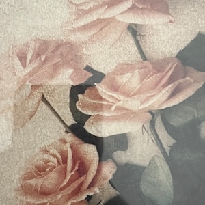 Victorian Roses 1800's Lithograph Framed Print From Pierre-joseph ...