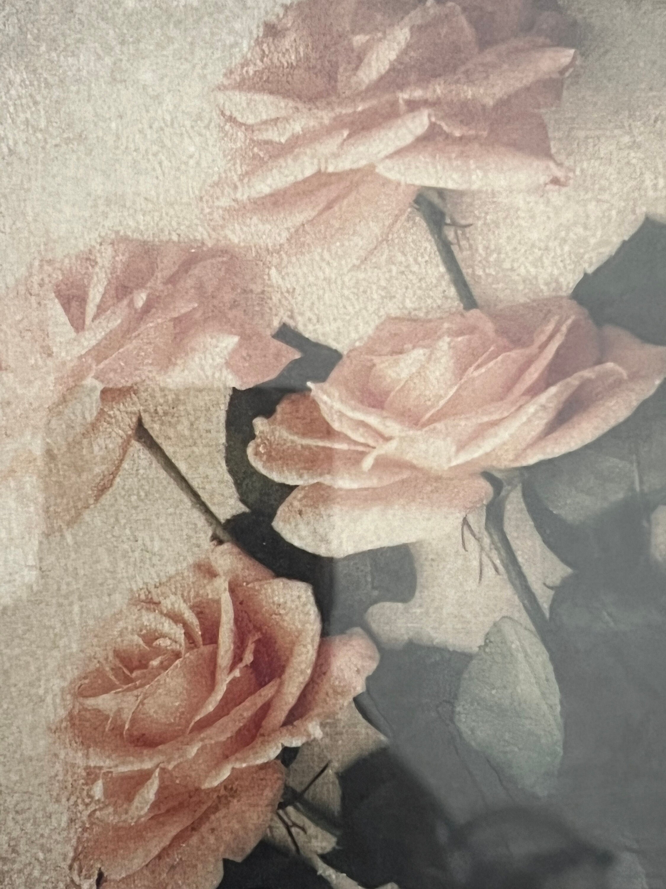 Victorian Roses 1800's Lithograph Framed Print From Pierre-joseph ...