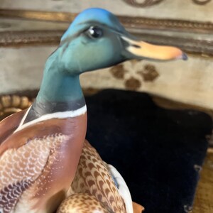 Vintage, Kaiser W Germany Mallard Duck Pair. Porcelain Bisque and Blue ...