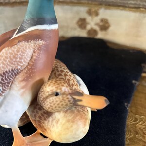 Vintage, Kaiser W Germany Mallard Duck Pair. Porcelain Bisque and Blue ...