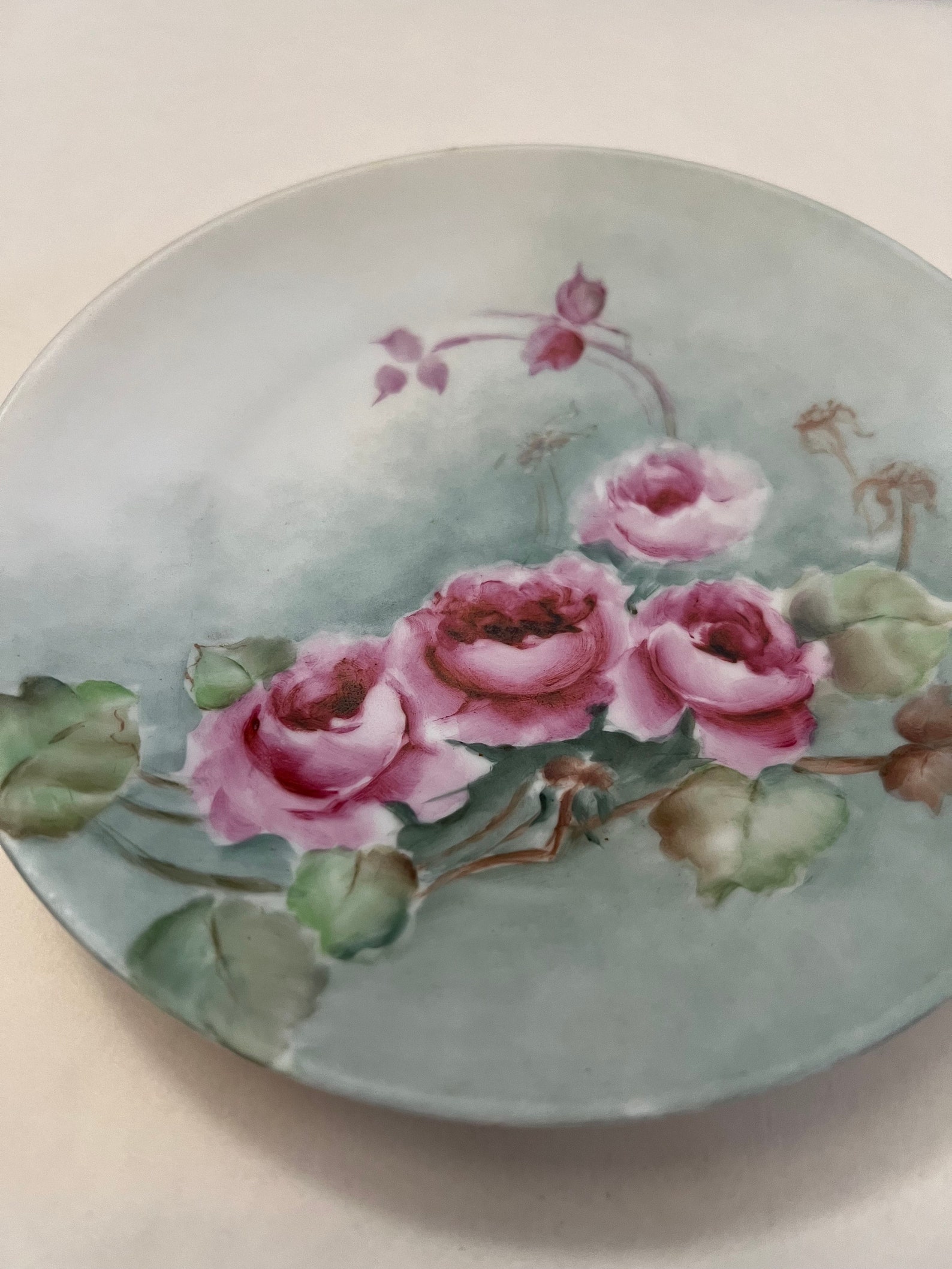 Antique Silesia, German Decorative Plate. 1900's. Beautiful Flowers ...
