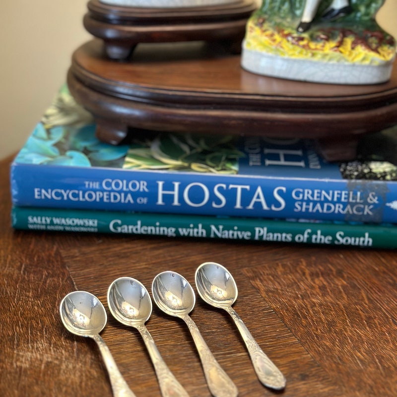 Demitasse Spoons - Etsy