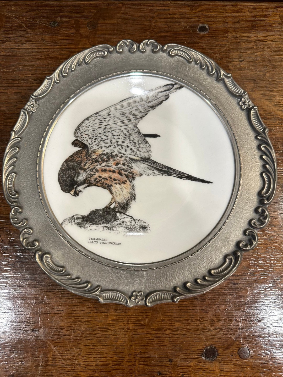 Falcon Plate in Pewter Frame - Etsy