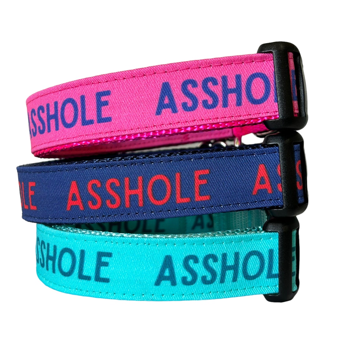 Dog Collar, Curse Words, Asshole Dog Collar, Bad Dog, Funny Dog Collar ...