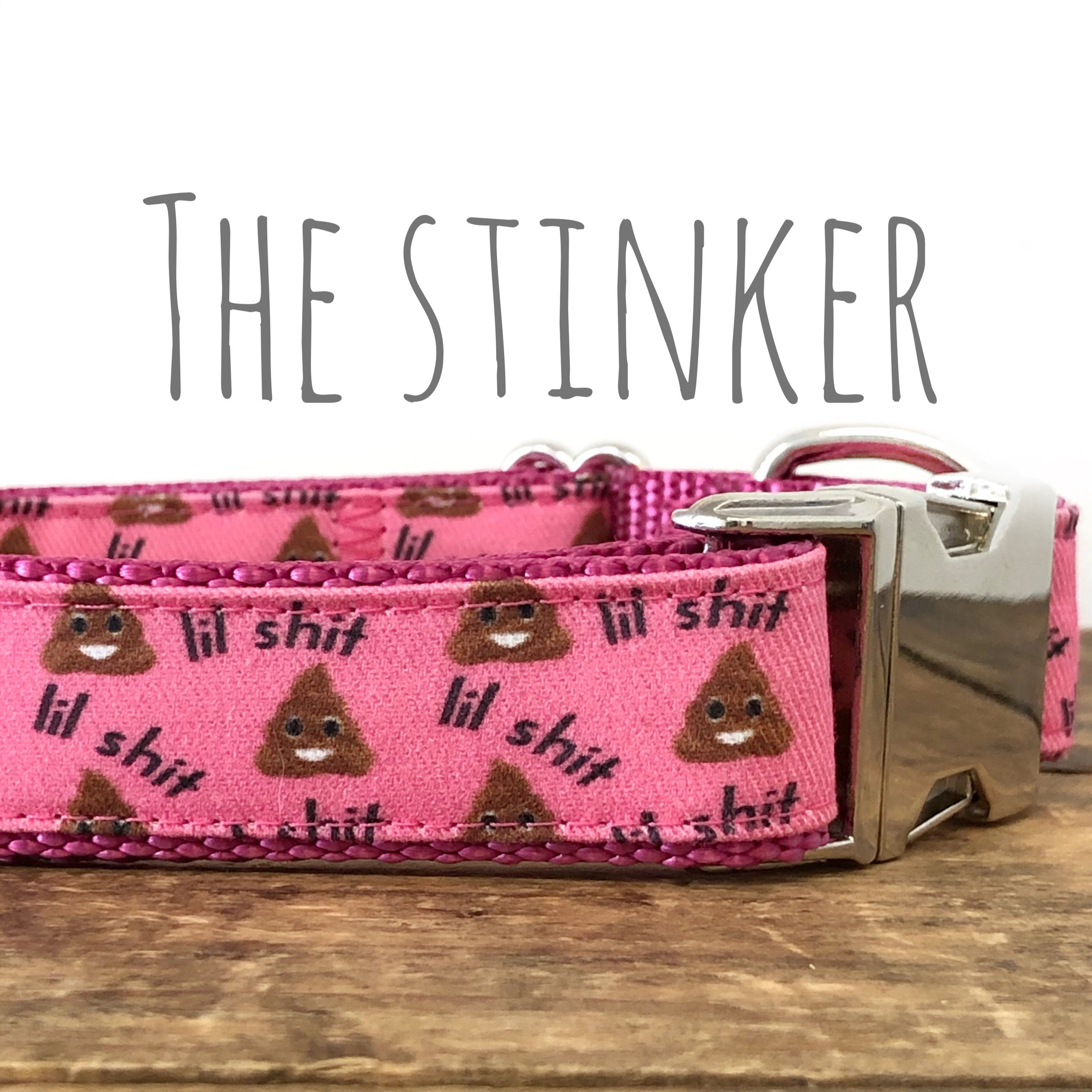 Dog Collar, Poop Collar, Plastic Buckle, Metal Buckle, Martingales ...