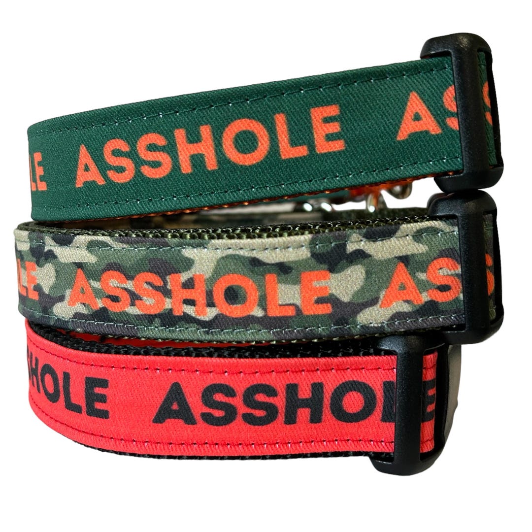 Dog Collar, Curse Words, Asshole Dog Collar, Bad Dog, Funny Dog Collar ...