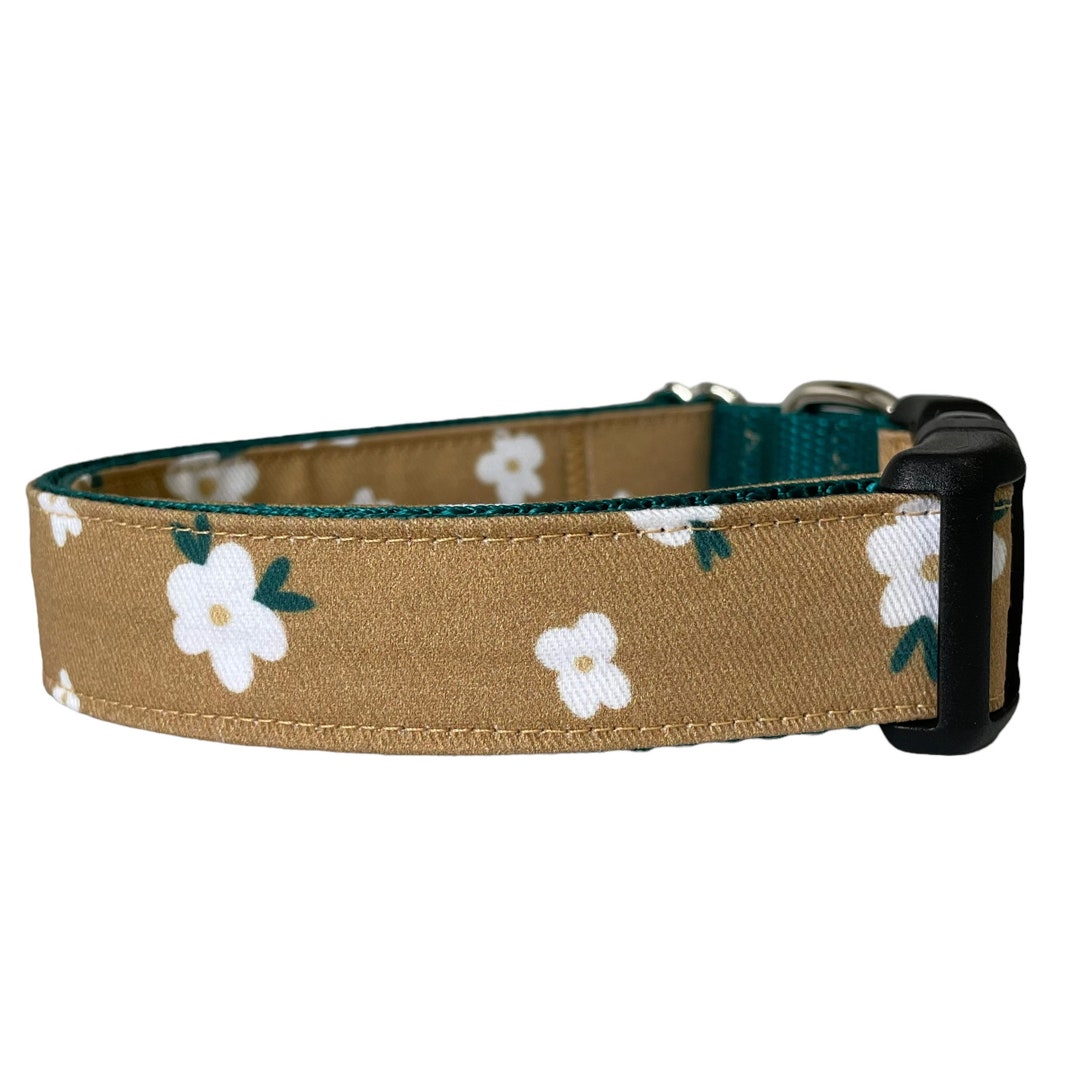 Dog Collar, White and Tan Floral Dog Collar, Teal Nylon, Spring, Preppy ...