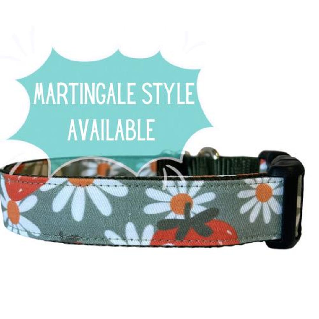 Daisy Dog Collar, Sage Green Nylon, White Floral, Outdoor Hiking Collar ...