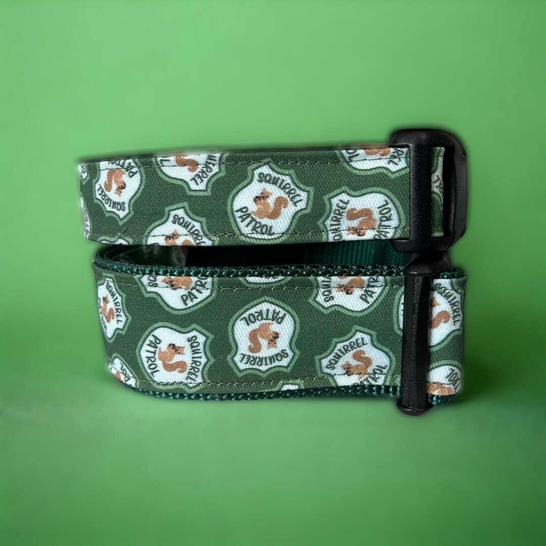 Squirrel Patrol Dog Collar, Green Dog Collar, Funny Collar - Etsy