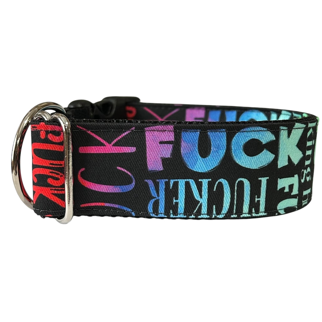 F Word Dog Collar, Curse Words, Crazy Dog Collar, Rainbow Dog Collar - Etsy