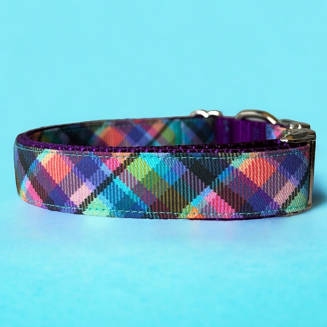 Dog Collar, Madras Plaid Dog Collar, Purple Nylon, Rainbow, Gingham ...