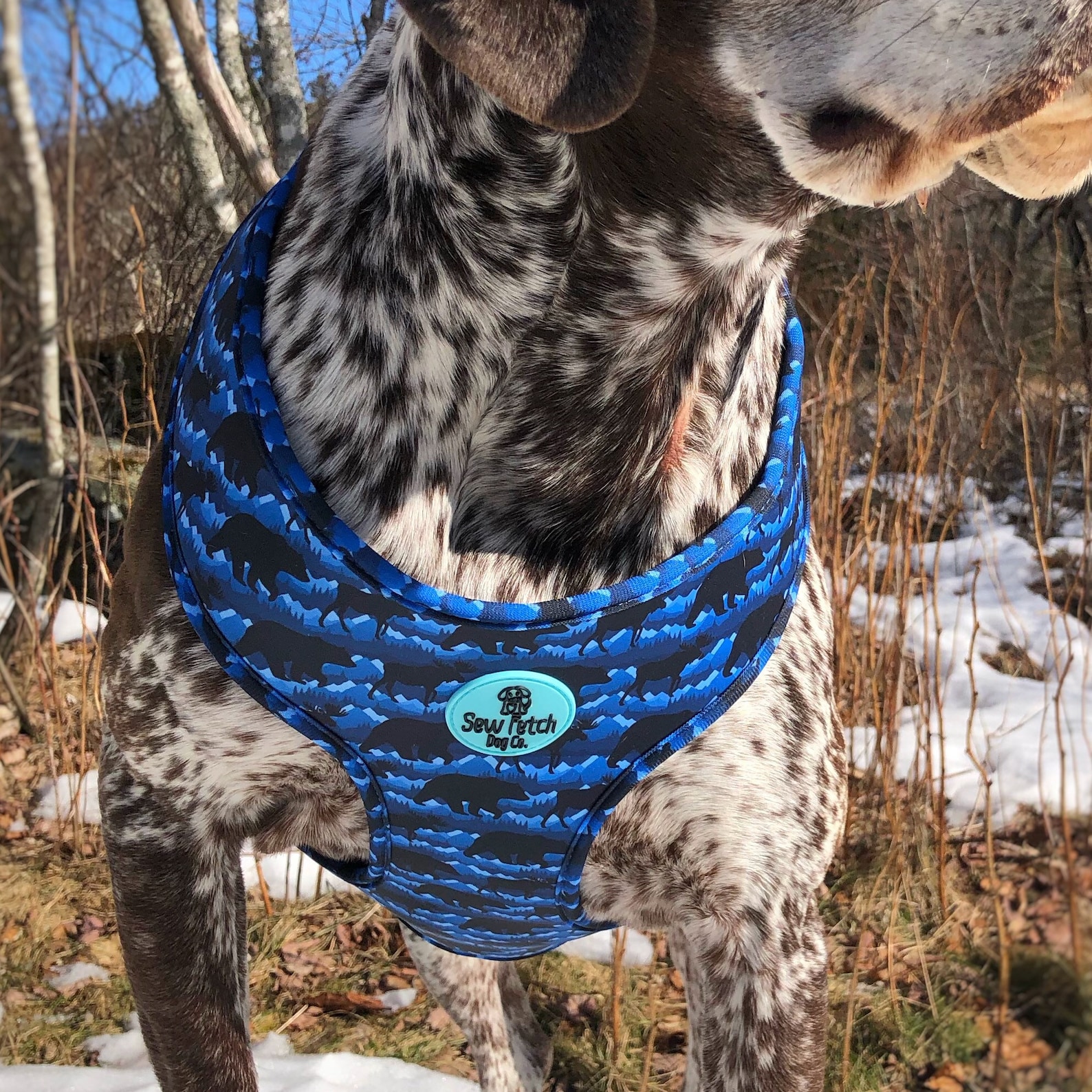 Moose and Blue Plaid Dog Harness, Black and Blue Buffalo Plaid ...