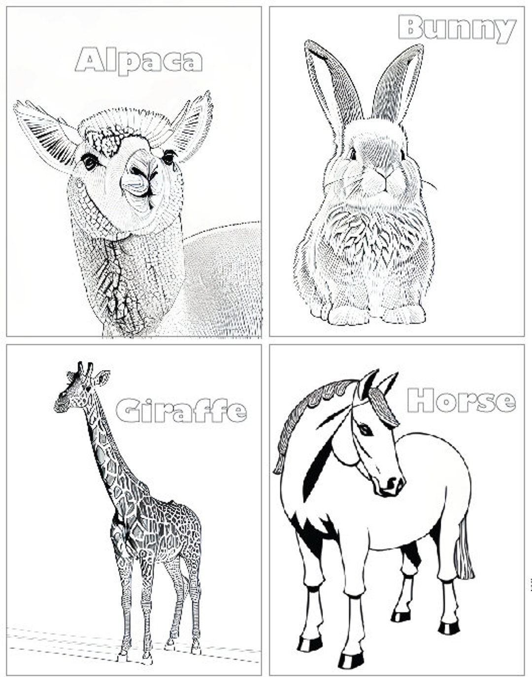 ABC Animal Coloring Pages - Etsy