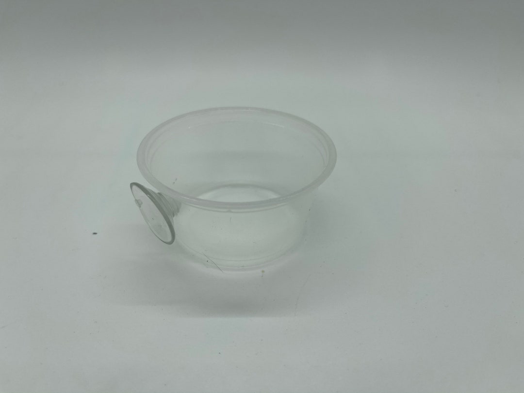 2oz Gecko Feeding Dish With Suction Cup - Etsy