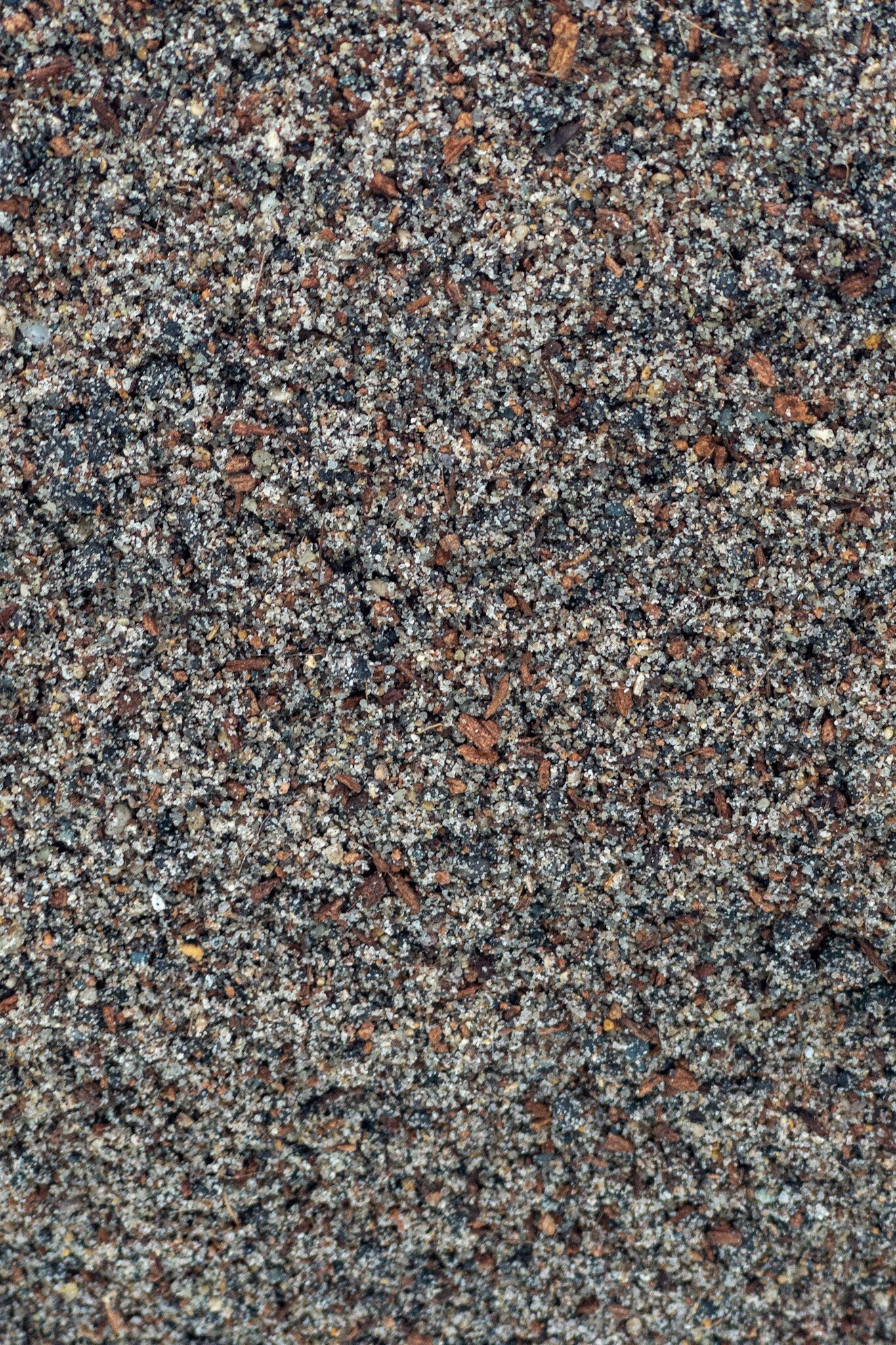 Bioactive Arid Soil Mix for Terrariums/vivariums - Etsy