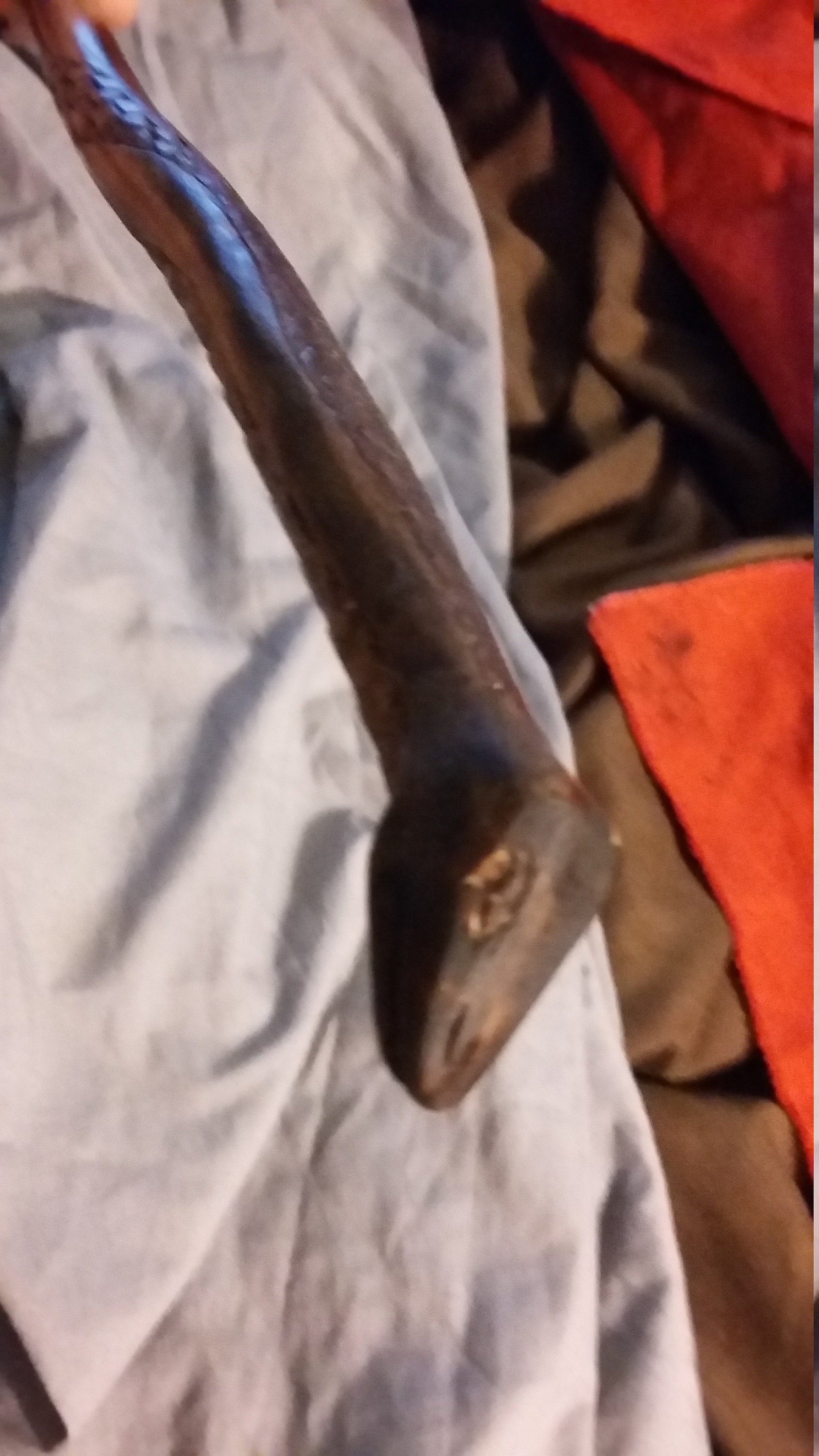 Aspen, Basilisk Heartstring, Magic Wand #343