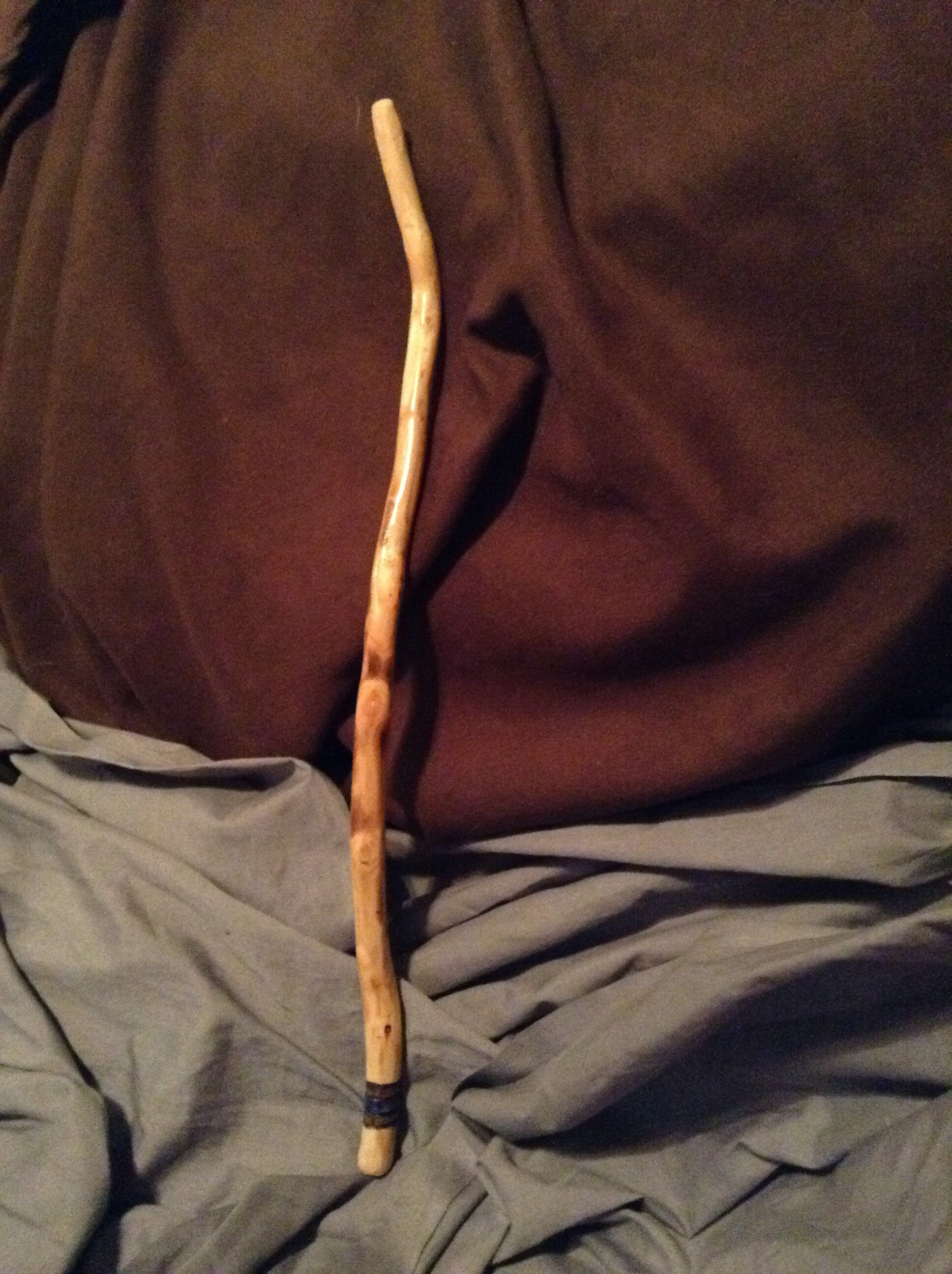 Blackthorn Basilisk Heartstring Magic Wand #333