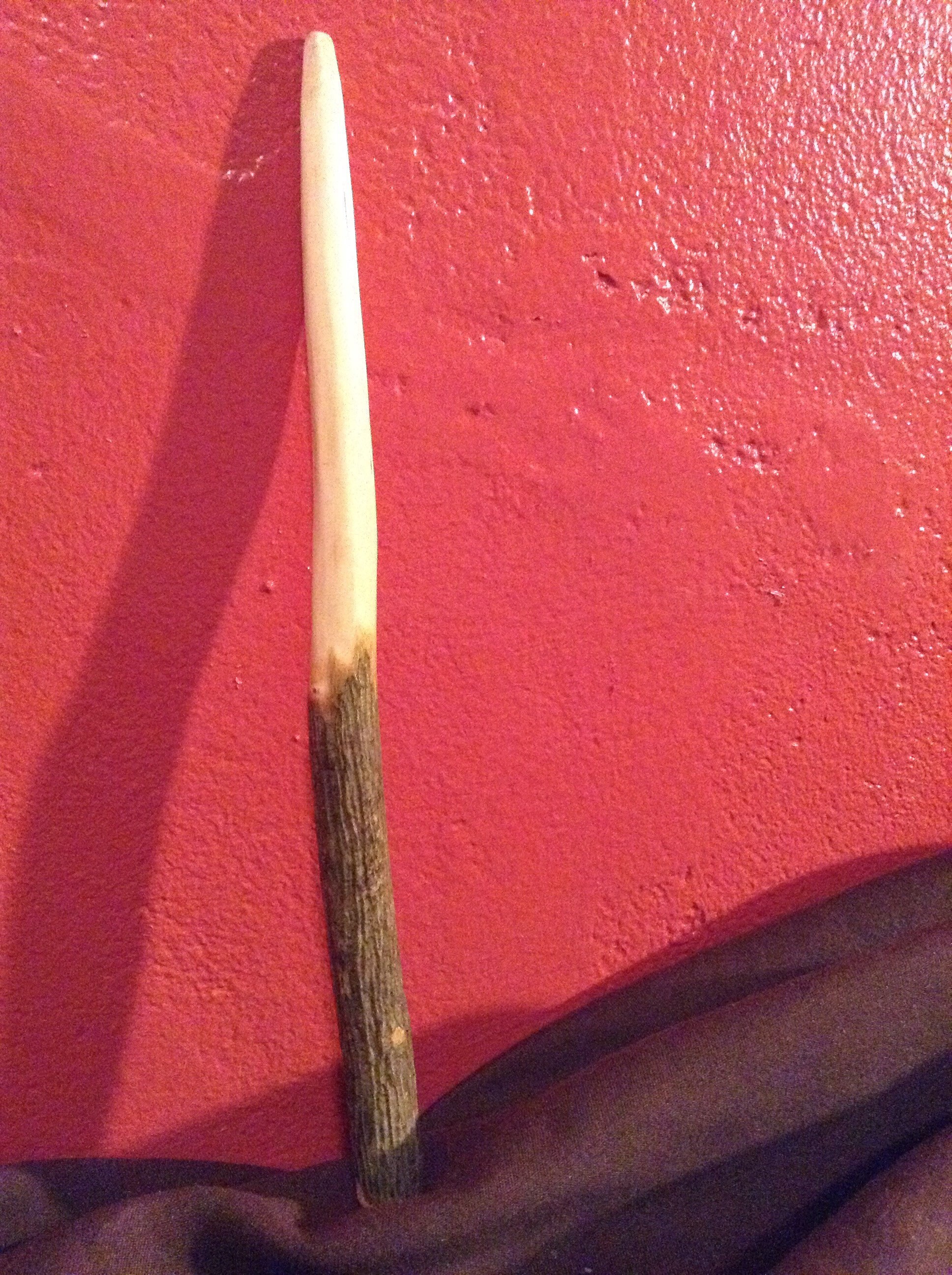 Hawthorne Basilisk Hearstring Magic Wand #297