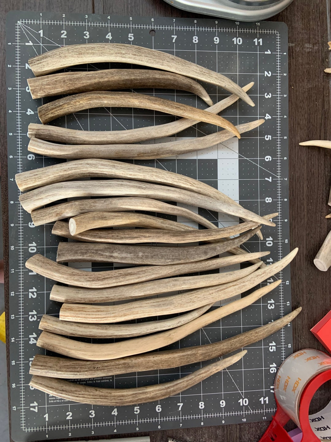 Mule Deer Tines - Etsy