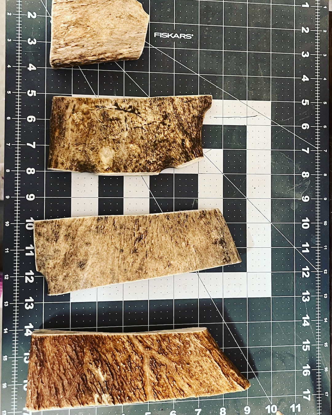 Moose Chews 1lb - Etsy