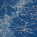 Astronomy Art, Star Art, Star Chart, Constellation Print, "atlas of the ...