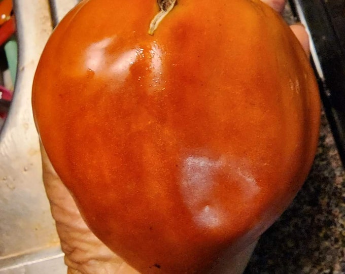 Curtis Cheek Tomato - Etsy