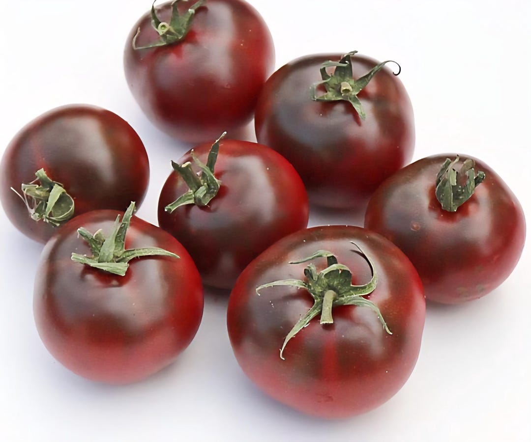 Dwarf Velvet Night Tomato, 10 Seeds - Etsy