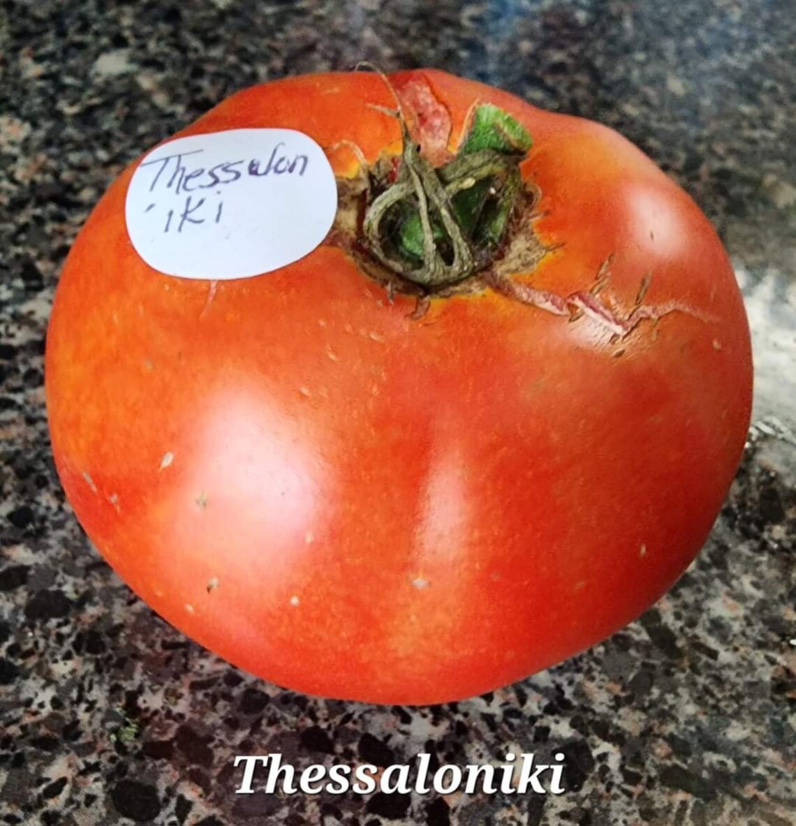Thessaloniki Tomato Seeds: Greek Heirloom Variety (10 Seeds) - Etsy