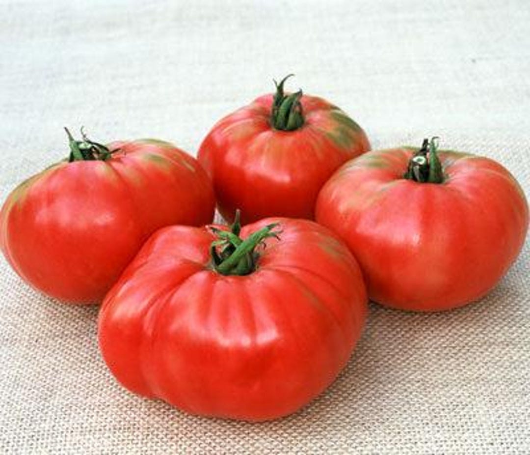 Sandul Moldovan Tomato Seeds - Etsy
