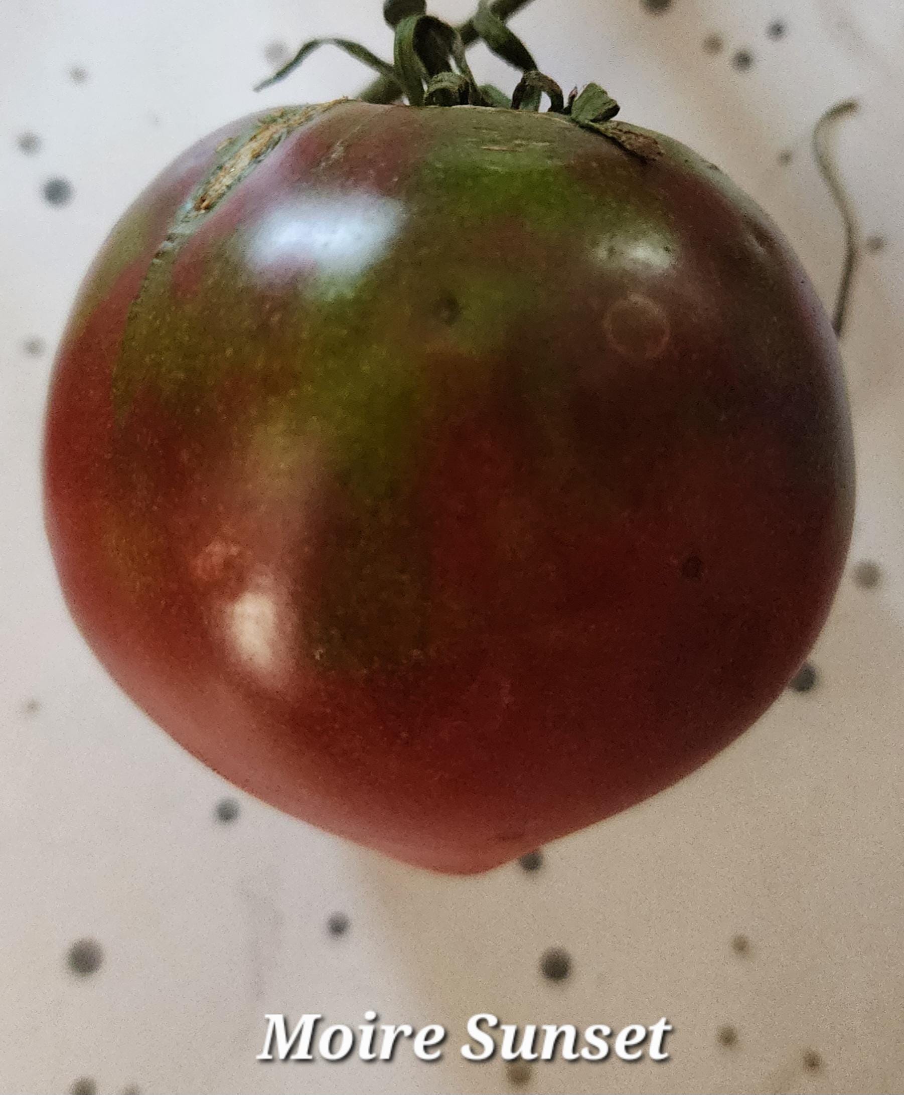 Moire Sunset Tomato Seeds - Etsy
