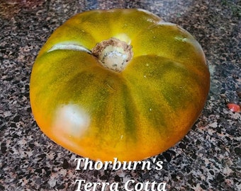 Thorburn's Terra Cotta Terracotta Heirloom Tomato Premium Seed Packet ...