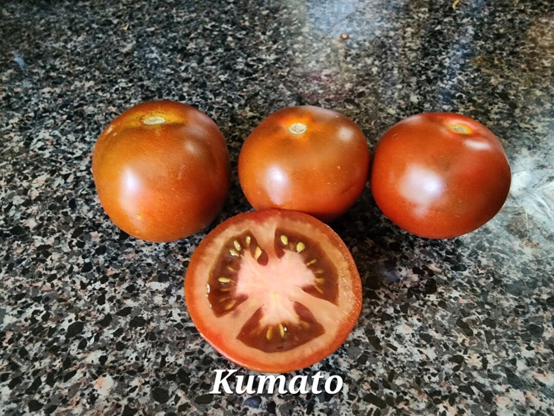 Kumato Tomato - Etsy