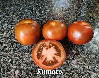 Mini Kumato Tomato Dwarf Tomato Seeds Dark Cherry Tomato Seeds - Etsy