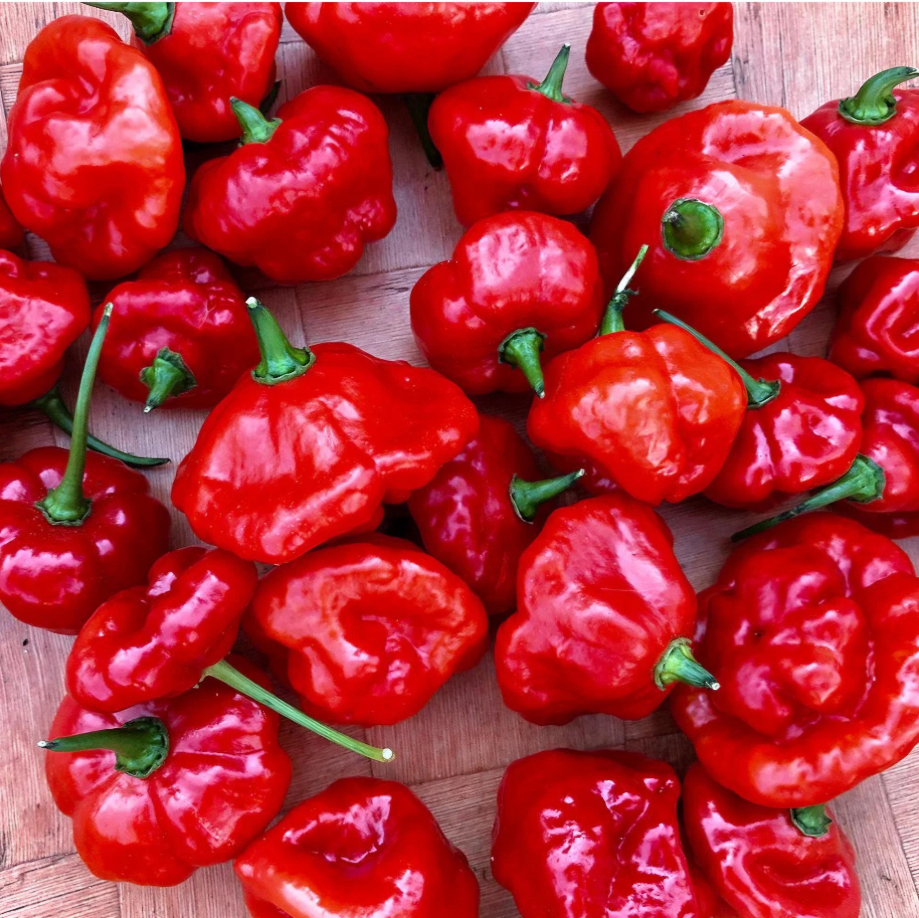 Aji Dulce, Ajicito, Aji Cachucha Pepper Seeds - Etsy