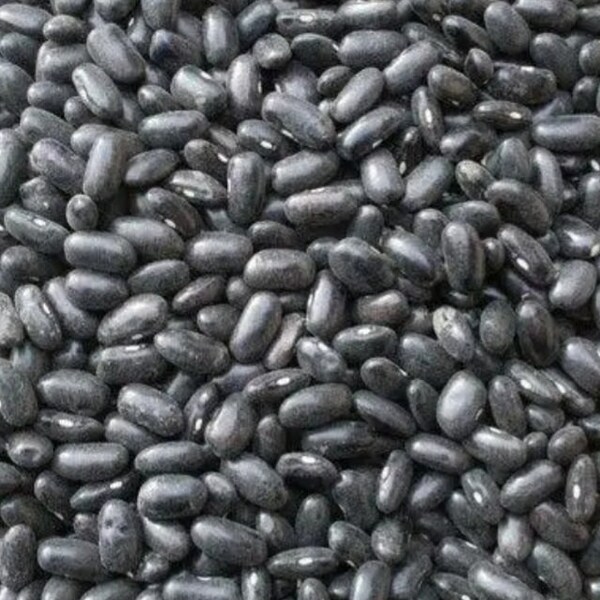 Cherokee Tears - Etsy